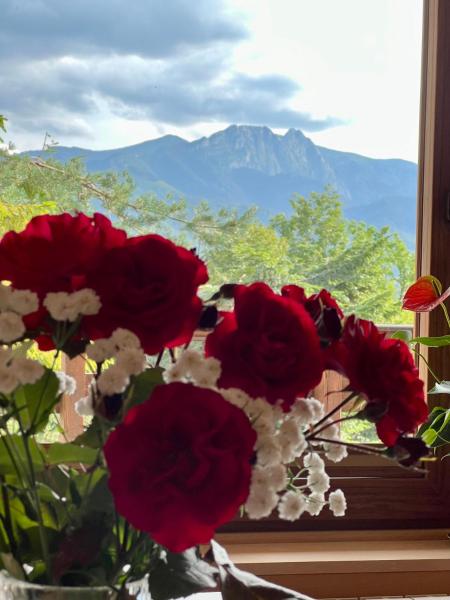 Domek Olczyski - Zakopane