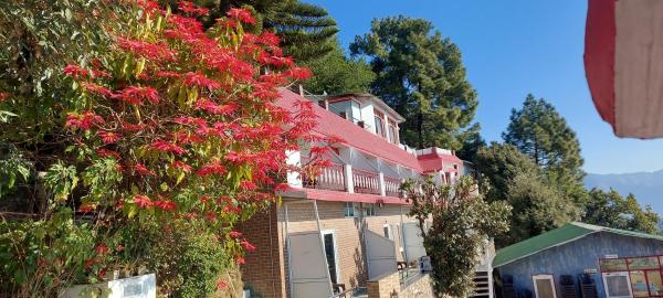 Blue Pine Resort - Lansdowne