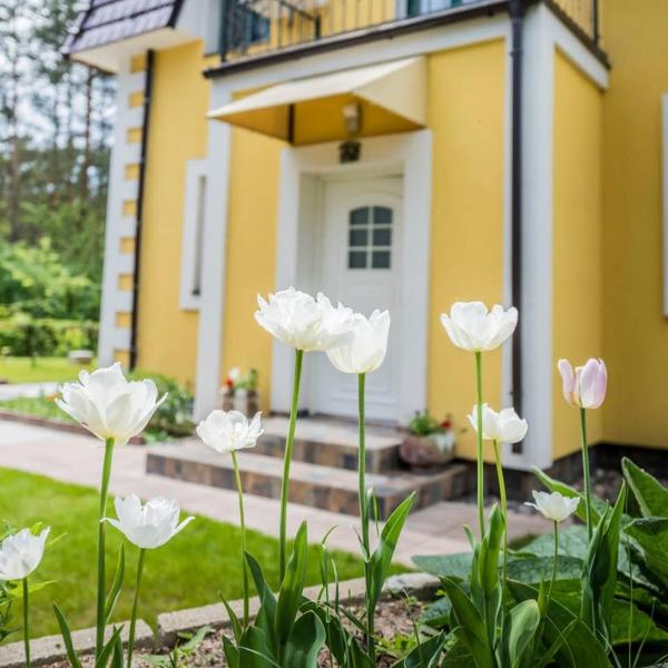 Vila U Prahy,v Prirode,jezero Lhota - Czechia