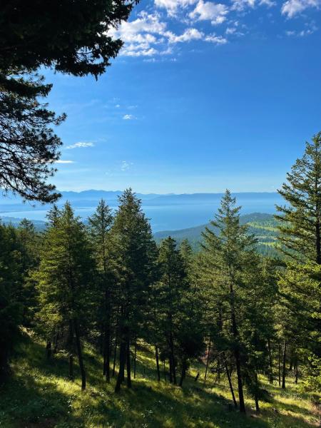 John's Cabin - Montana