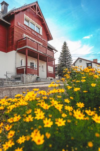 Hotel Willa Odkrywców - Rokytnice nad Jizerou