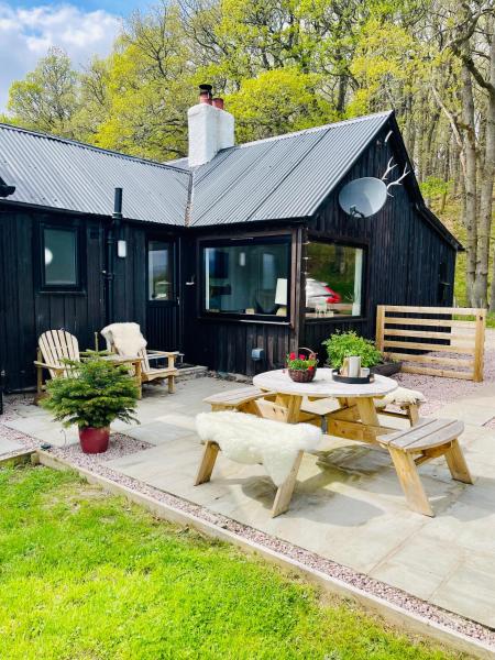 Stag's Hide - Aviemore