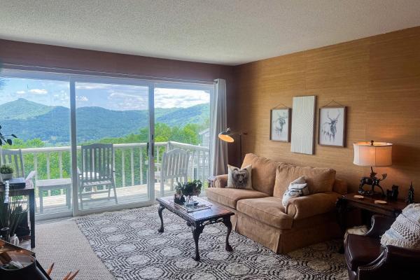 Cozy Mountain Nest - North Carolina