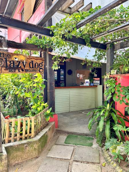 Lazy Dog Bed & Breakfast - Malay