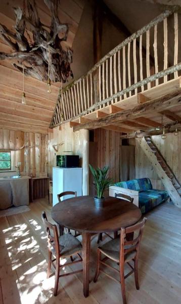 Cabane Salamandre - Arnac-Pompadour