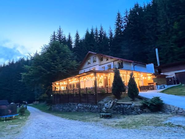 Barlogul Din Vidraru - Transylvania