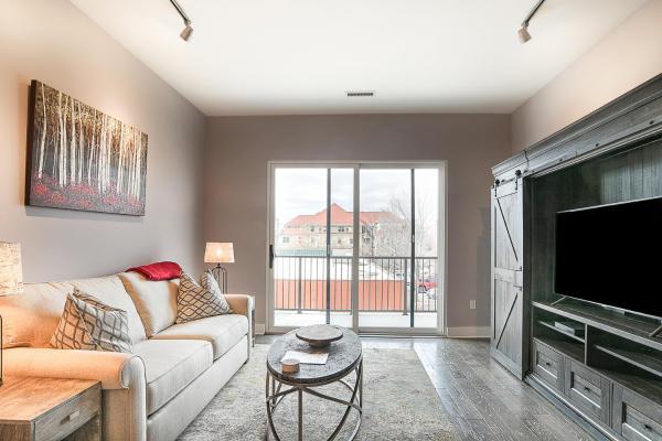 45 Asheland Avenue Unit 301 - アシュビル, NC