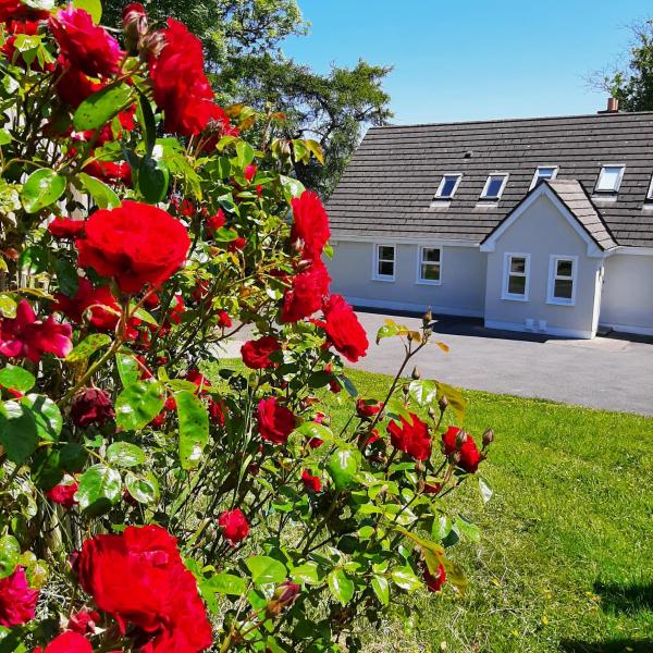 Abhainn Ri Cottages - Blessington