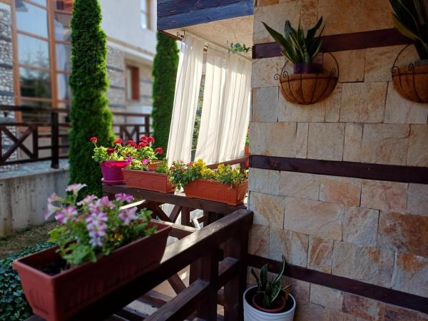 Mila Vip Apartment - Bansko