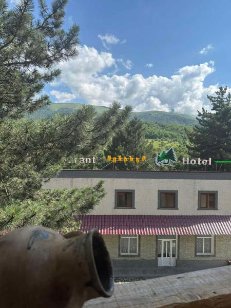 Sochiner Hotel - Armenia