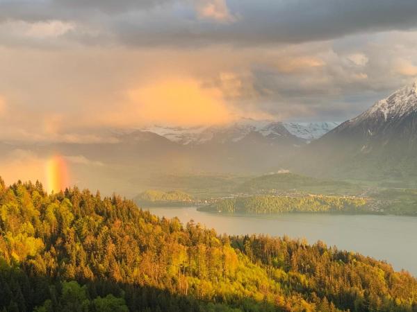 Rooms Haltenegg - Thun