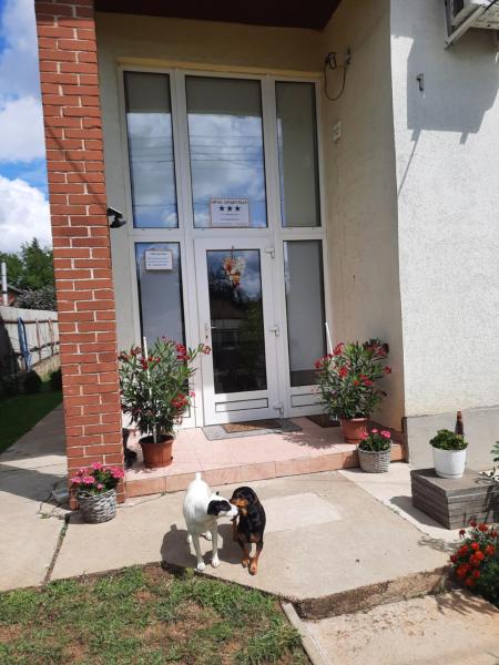 Opál Apartman - Nyíregyháza