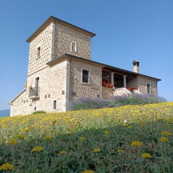 Agriturismo Torre Gialluise - Provincia di Avellino