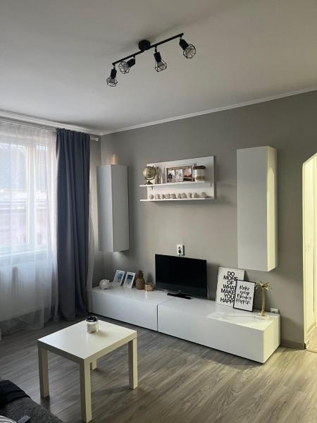 Central View Apartament - Arad