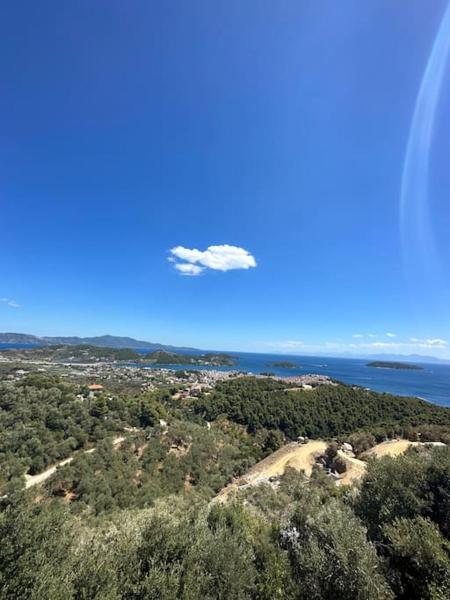 Skiathos Poseidon Apartment - Skiathos