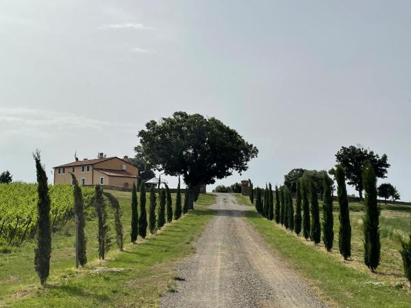 Podere Aurora - Massa Marittima