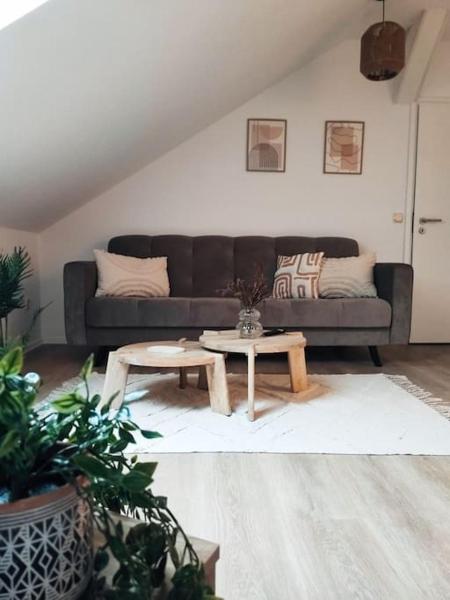 Stylische Altstadtwohnung - Netflix - Smart Tv - Schlafsofa Für 3 Personen - Erfurt