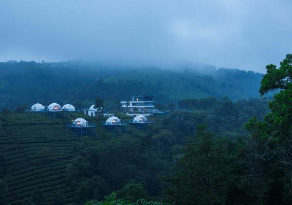 Monticle Glamps - Vagamon