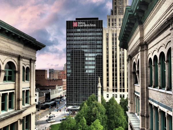 The Hilton Garden Inn Buffalo-downtown - Hamburg, NY