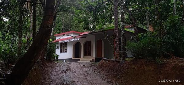 White Rose - Wayanad