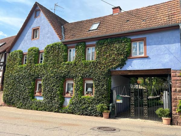 Schönbachhof - Wissembourg