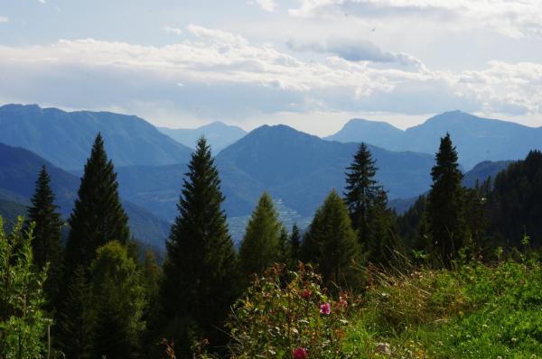 Alpenchalet Waldl - La Lepre - Italie