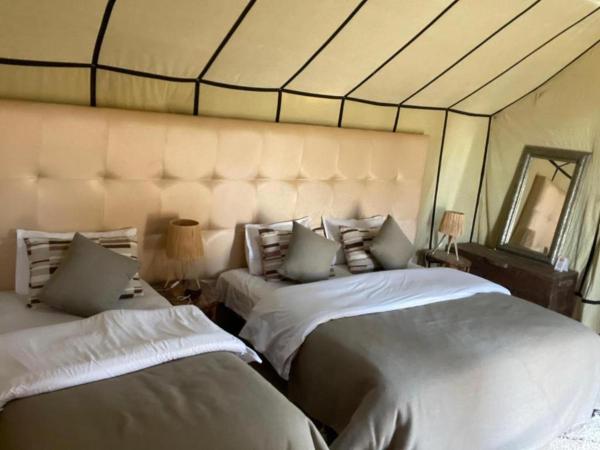 Arena Desert Camp & Activitys - Merzouga