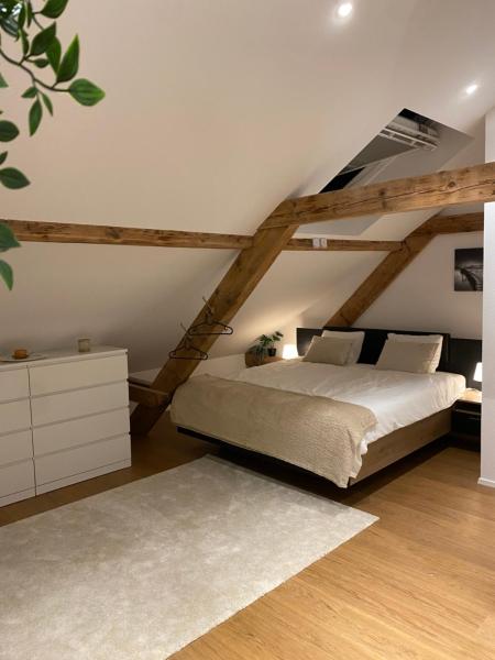Eine Schöne Wohnung An Der Birs - Basel