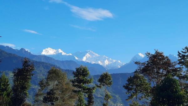 Red Panda Jungle Camp - A Unit Of Davinchi Homes Pvt Ltd - Sikkim