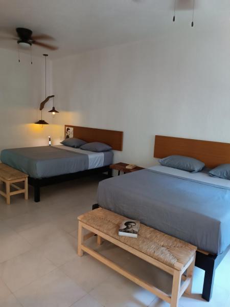Jungle Lodge - Cancún