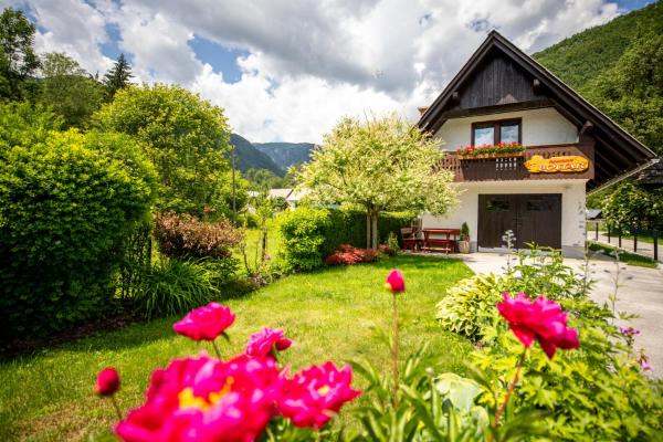 Apartma Boltar - Stara Fužina