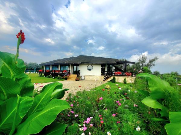Cirex Delta Club Sulina - Sulina
