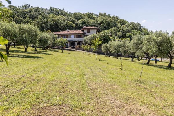 Affittacamere Cigui - Trieste