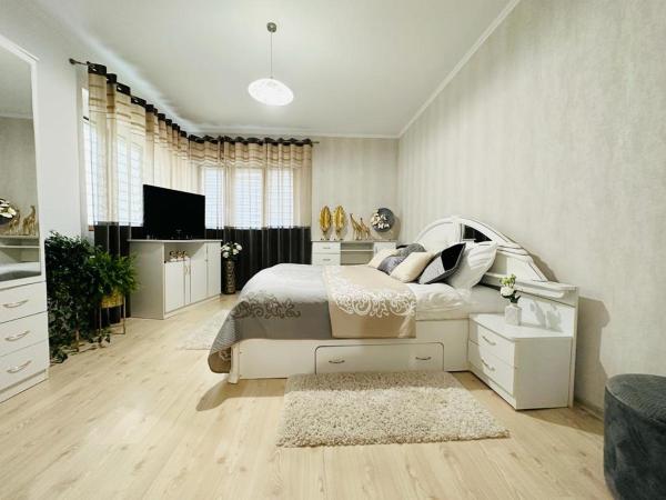 Flamingo House - Reghin