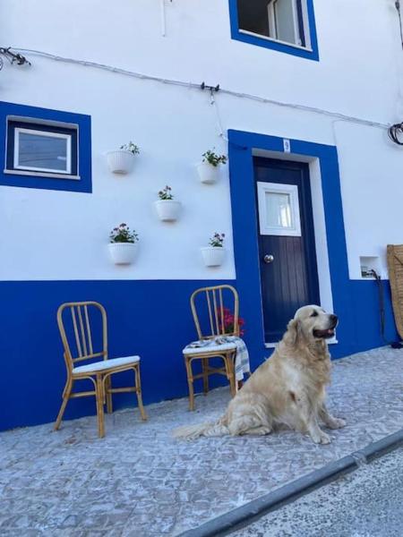 Casa Buganvilla - Alcácer do Sal