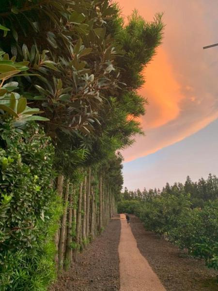 Jeju Bomewasan - Jeju