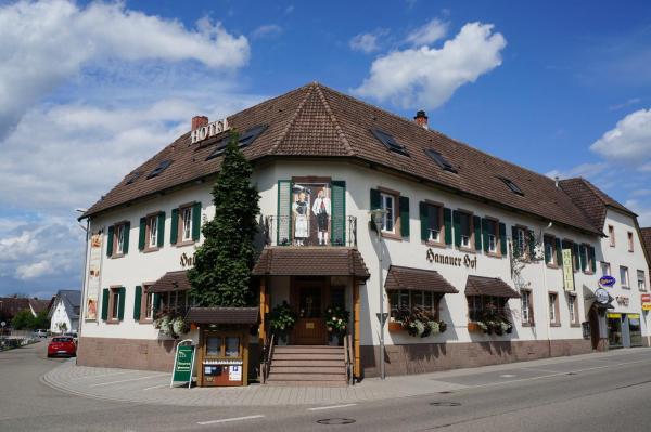 Hotel Hanauerhof - Offenburg