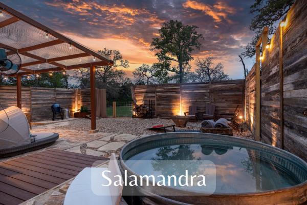 Romantic Tiny Luxury Retreat W Heated Pool, Sauna N Outdoor Shower In Wimberley 10 Acres - Wimberley, TX