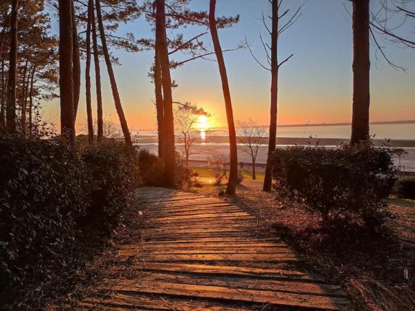 Maison Vue Sur Le Bassin, Proche Du Centre Ville - Arcachon