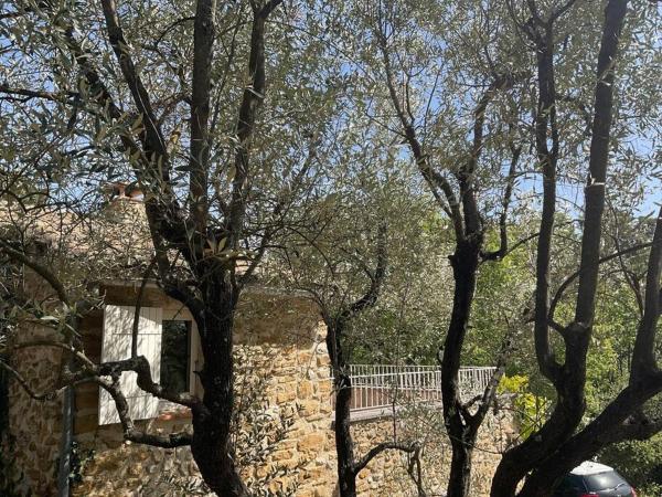 Les Bartavelles - Vaison-la-Romaine