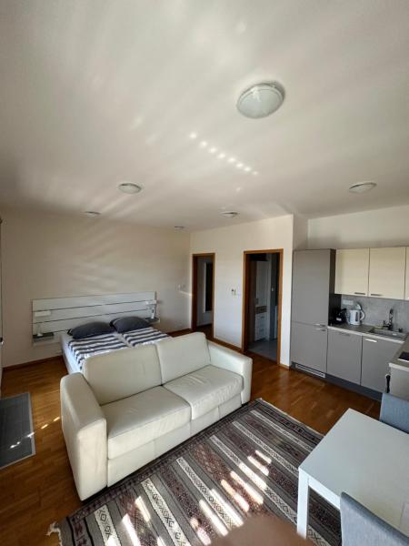 Cozy Apartment - Prag