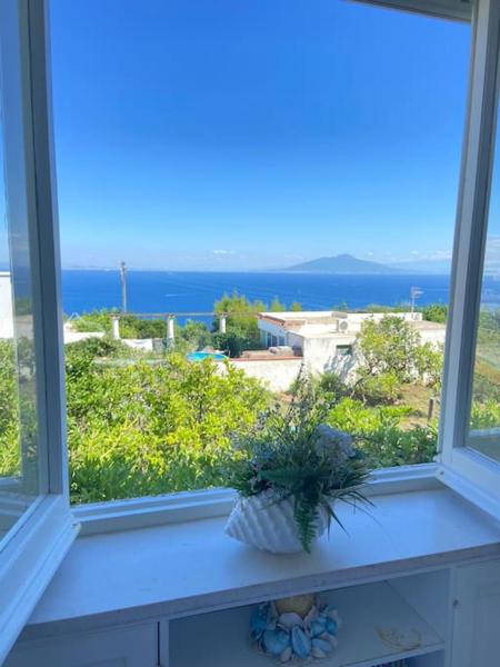 Villa Esclusiva: La Capperina - Isla de Capri