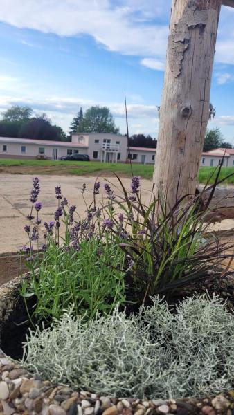 Falkenhof Meisdorf - Harz