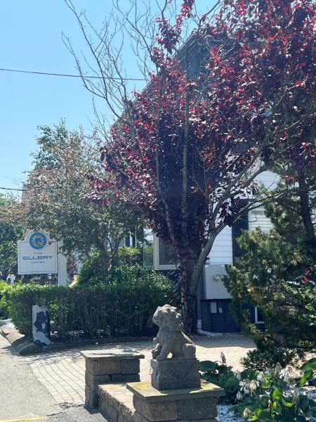Ellery Hotel Provincetown - Provincetown, MA
