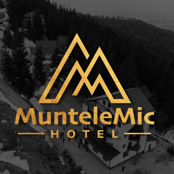 Hotel Muntele Mic - Hunedoara