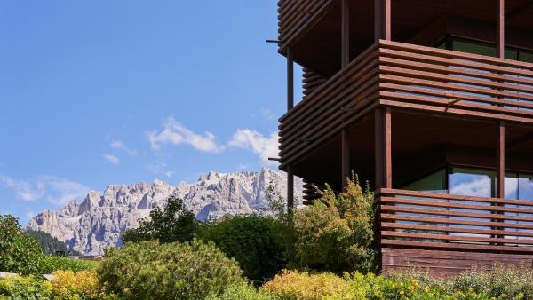 Saleghes Dolomites Residence - Alpe di Siusi