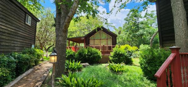 Olive Cabin