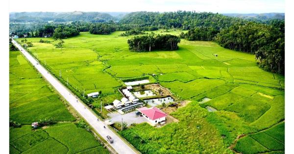 Jazz Ferme Inn Offers The Traveler Many Things To See - Batuan