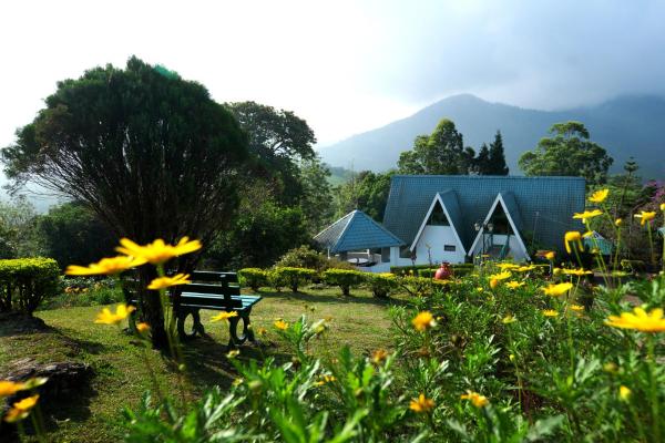 Camelot Resort - Idukki