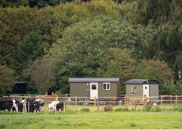 Shepherds Huts Tansy & Ethel In Rural Sussex - Arundel